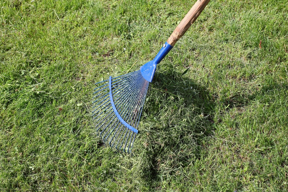 Lawn care tutorial store