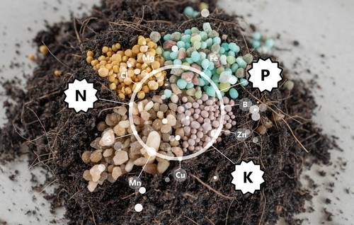 NPK fertiliser ratios explained - Thompsons Plants & Garden Centres