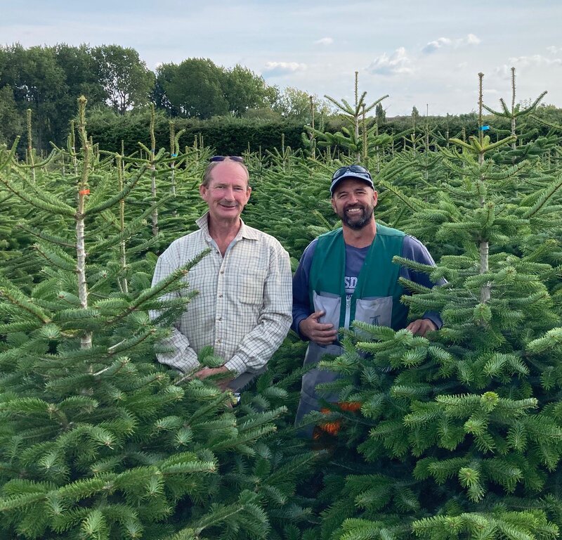 Sustainable Christmas tree Farming - Thompsons Plants & Garden Centres