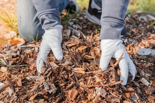 Soil, Compost & Bark - Thompsons Plants & Garden Centres